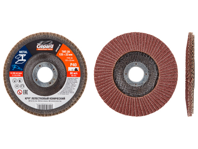Flap disc conical T29-125x22mm 40grit (72 flap cloth) GEPARD - NINGBO ...